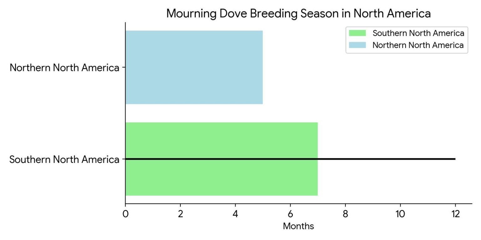 Unveiling the Secrets of Mourning Dove Eggs: A Guide to Their Clutch Cycle